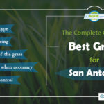 Reliable and cheap lawn care services in San Antonio TX by GoMow - GoMow