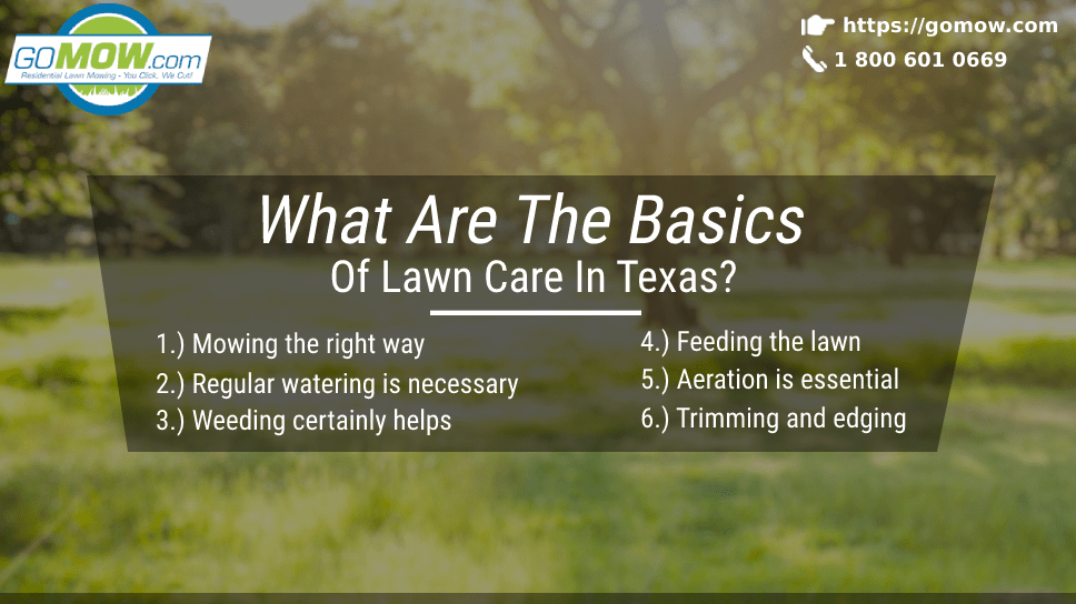 What Are The Basics Of Lawn Care In Texas GoMow